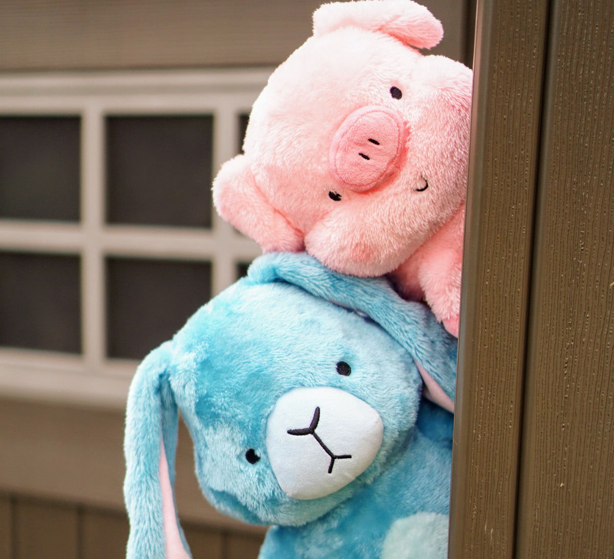 DSC09159_1daae445-04c2-422f-8d00-10edc14eefd2_1200x1200.JPG?v=1615925937